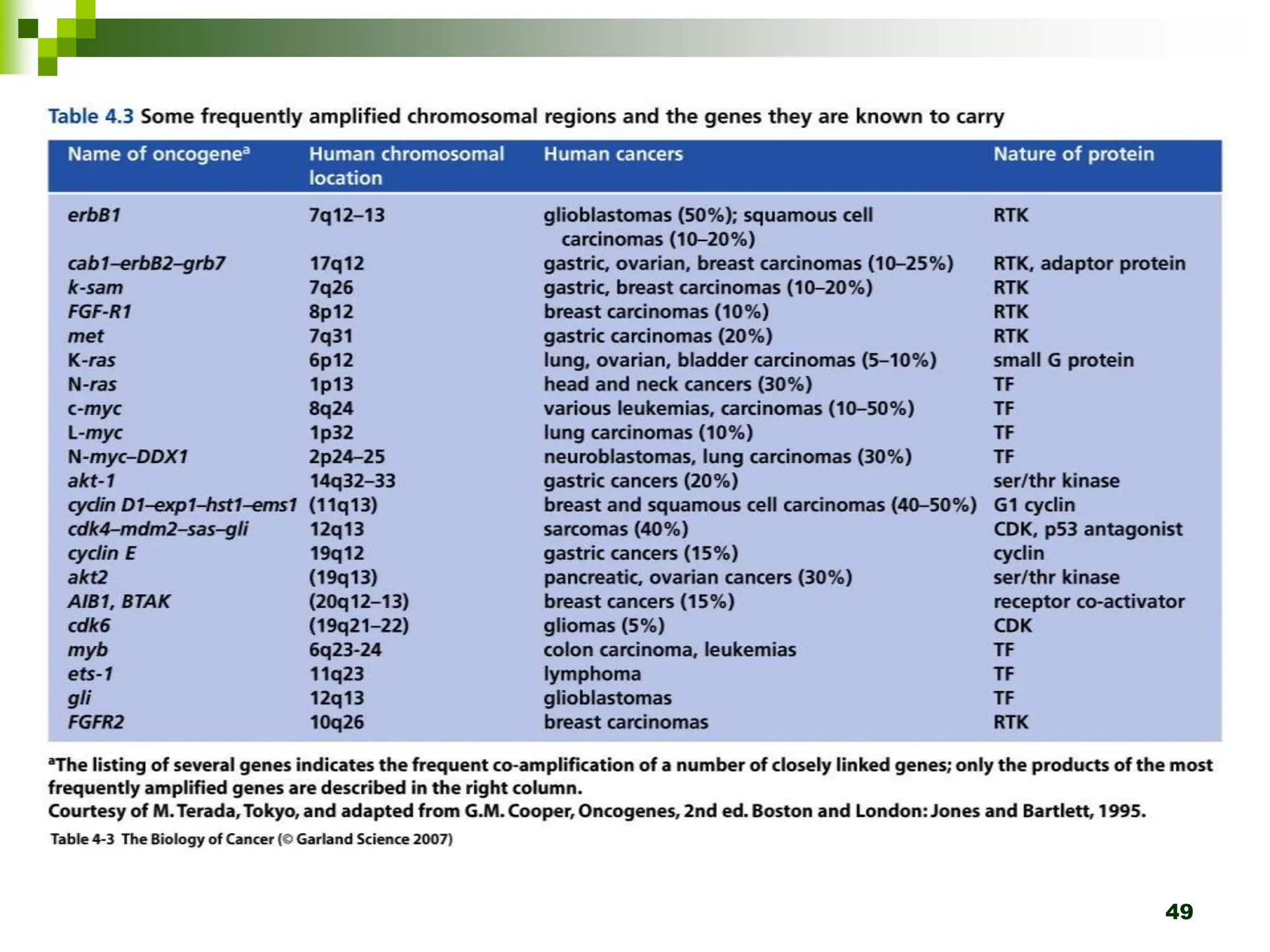 Oncogenes-basic science for students.pptx