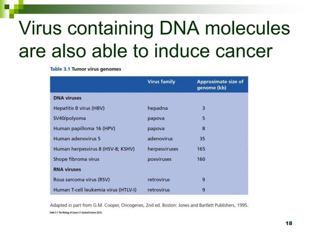 Oncogenes-basic science for students.pptx | Biological Sciences | Science