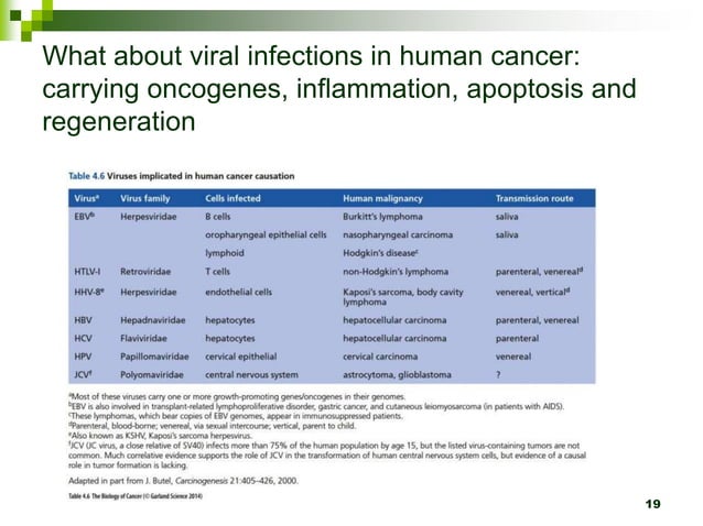 Oncogenes-basic science for students.pptx | Biological Sciences | Science