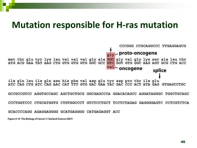 Oncogenes-basic science for students.pptx | Biological Sciences | Science
