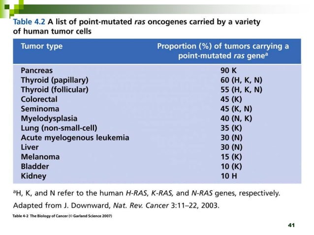 Oncogenes-basic science for students.pptx | Biological Sciences | Science