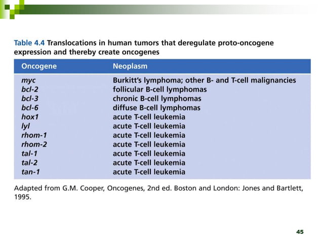 Oncogenes-basic science for students.pptx | Biological Sciences | Science