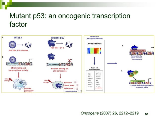 Oncogenes-basic science for students.pptx | Biological Sciences | Science