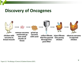 Oncogenes-basic science for students.pptx
