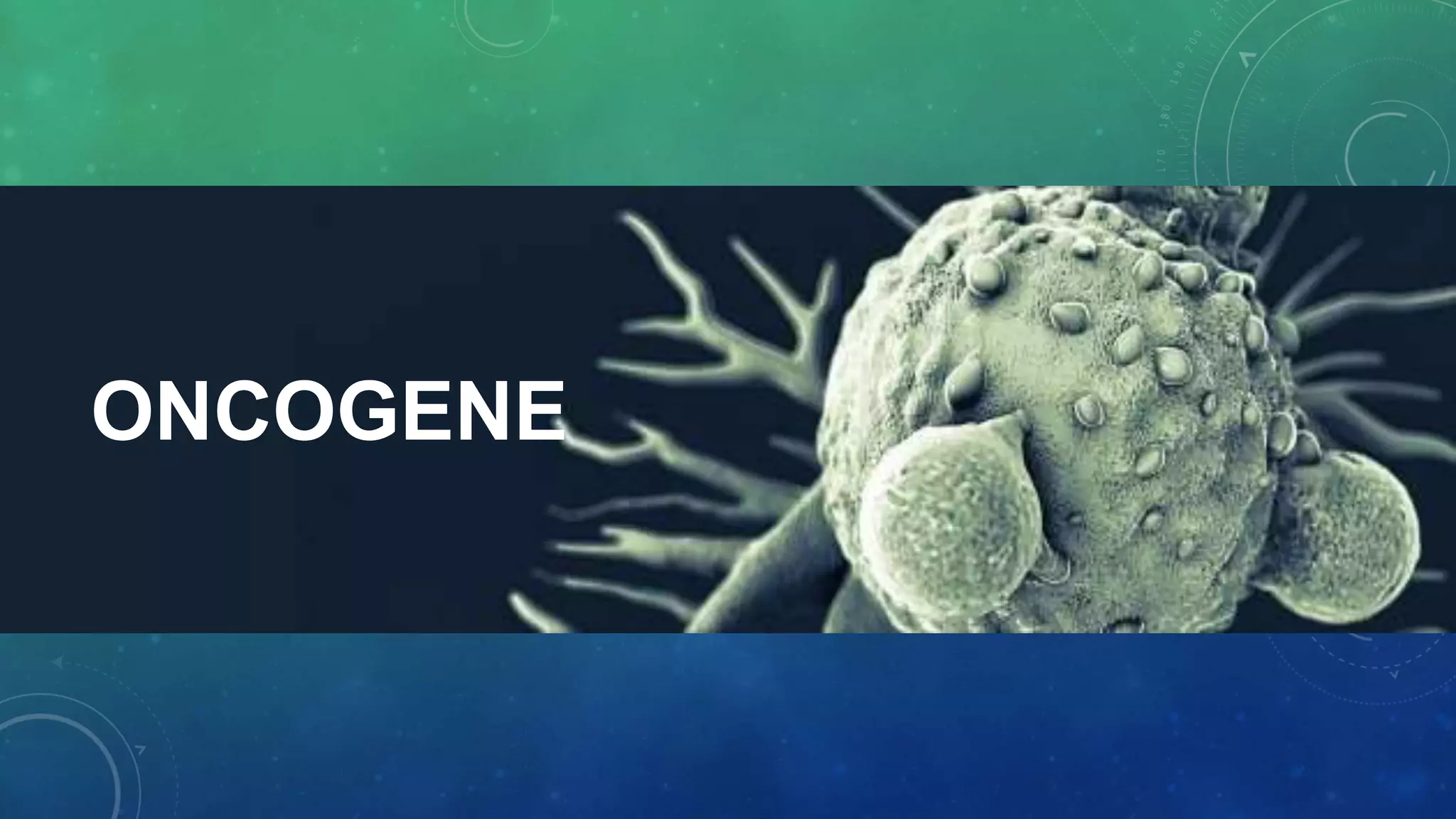 Identoification and Types of Oncogene | PPTX