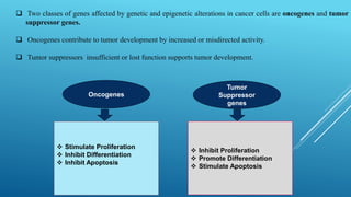 Oncogenes and proto oncogenes , cancer related topic | PPTX