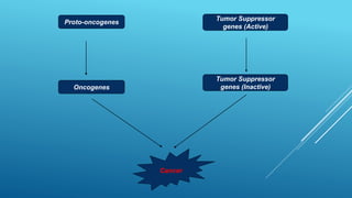 Oncogenes and proto oncogenes , cancer related topic | PPTX