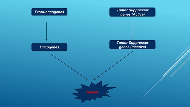 Oncogenes and proto oncogenes , cancer related topic | PPTX | Cancer ...