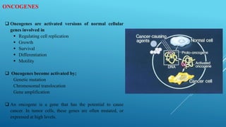 Oncogenes and proto oncogenes , cancer related topic | PPTX