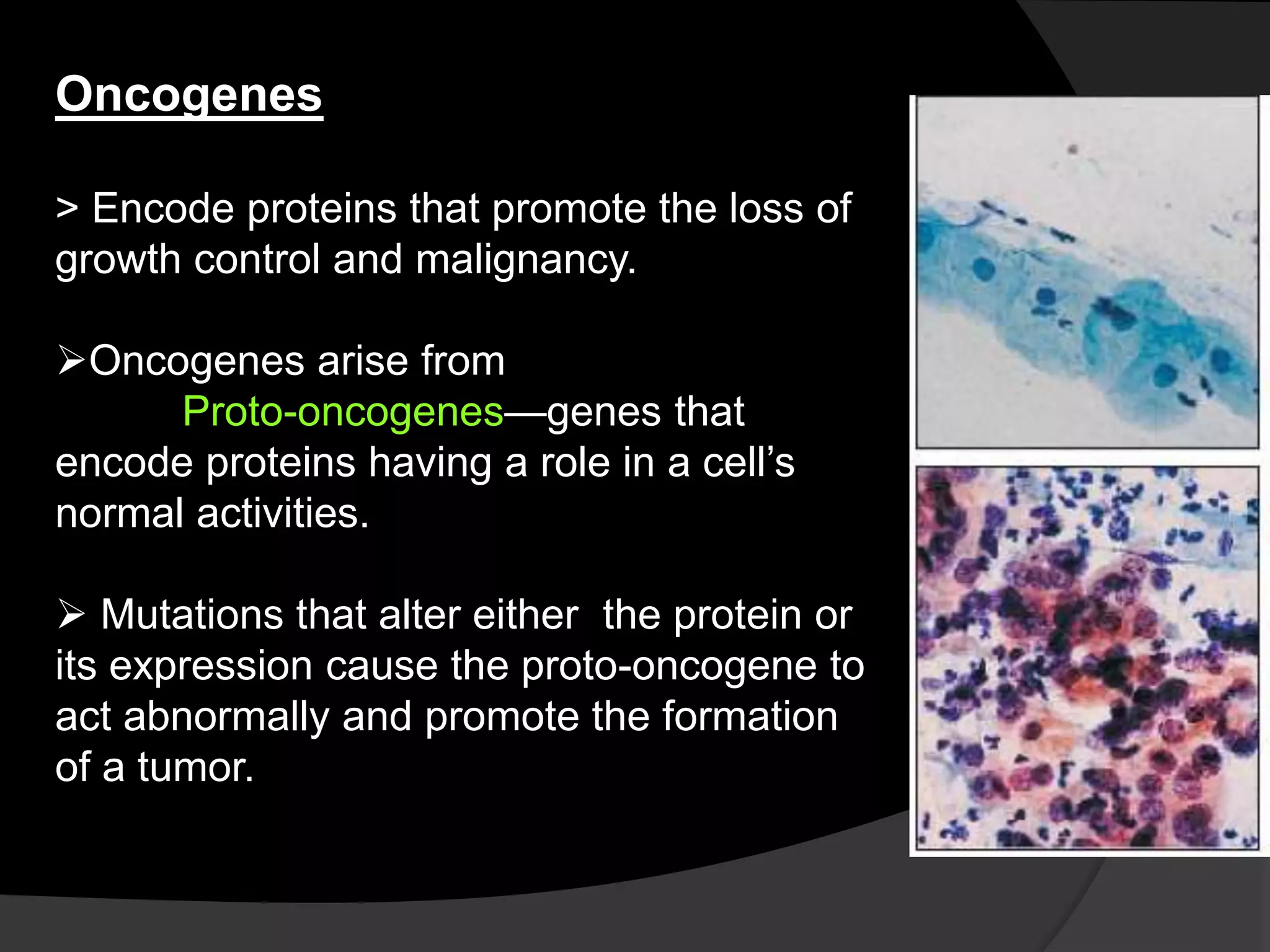 Oncogenes and tumour suppressor genes | PPTX