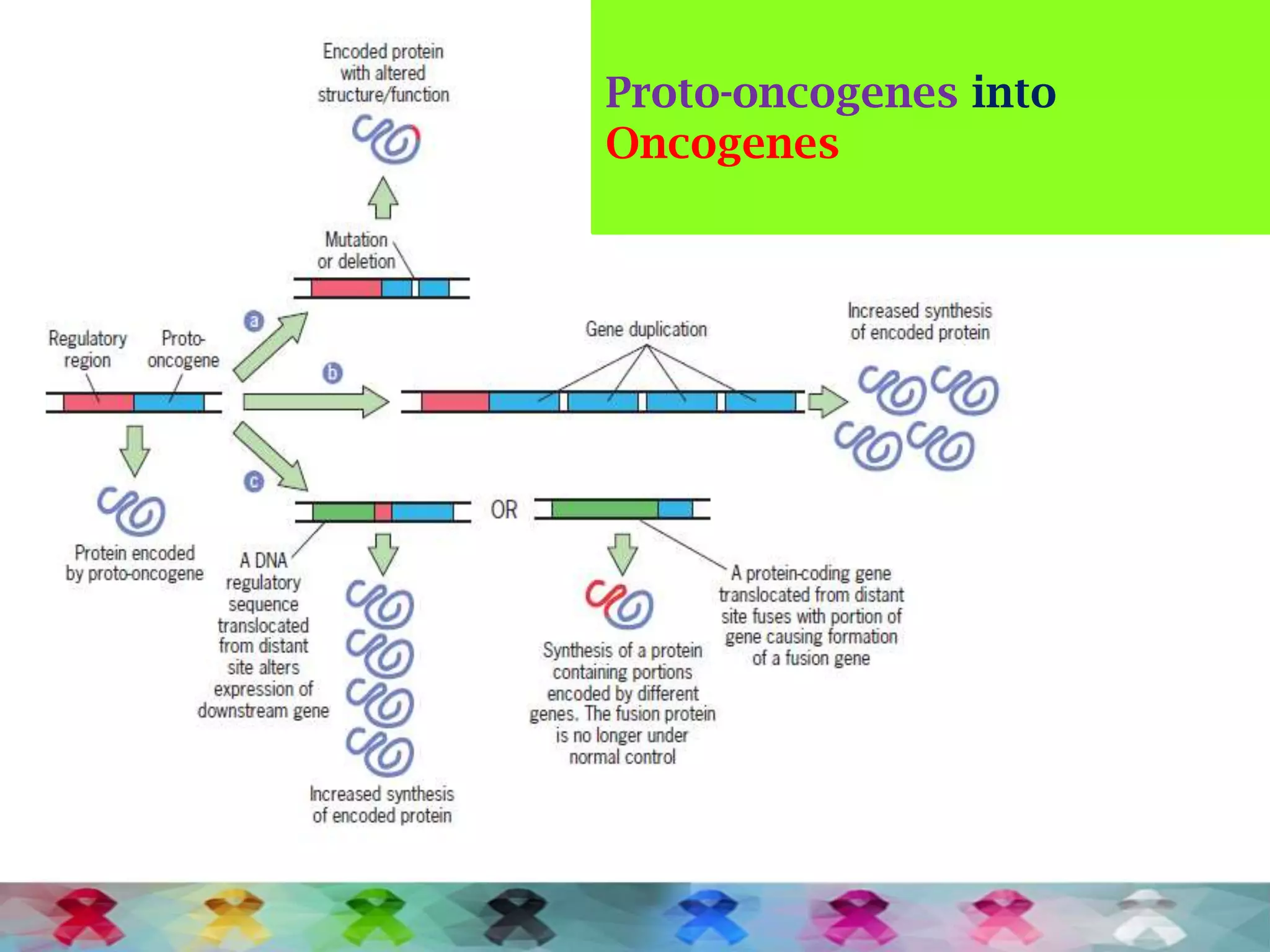 Oncogenes and tumour suppressor genes | PPTX