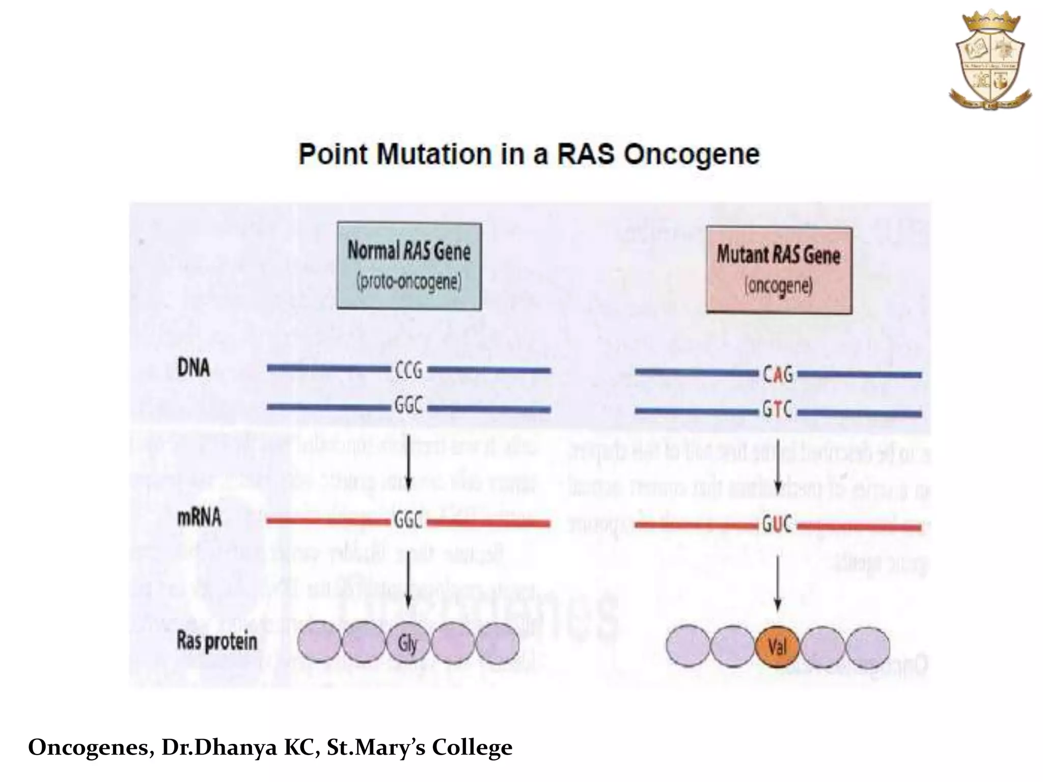 Microbiology:Oncogenes | PPTX