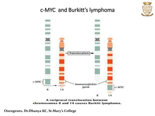 Microbiology:Oncogenes | PPTX