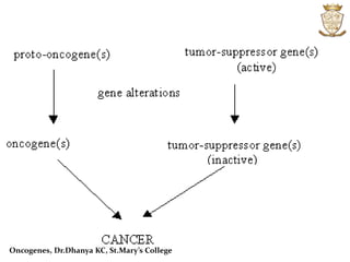 Microbiology:Oncogenes | PPTX