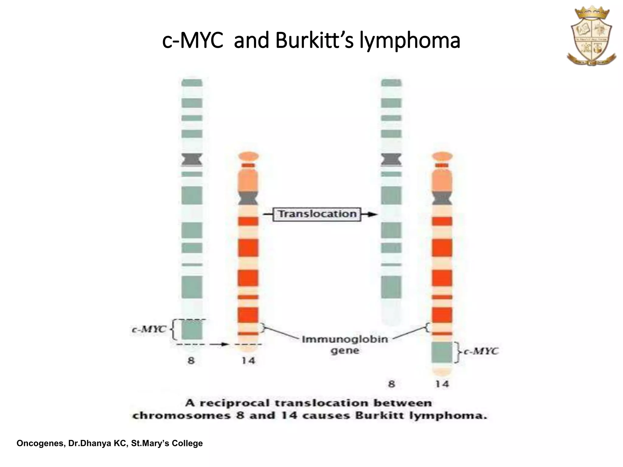 Oncogenes | PPTX