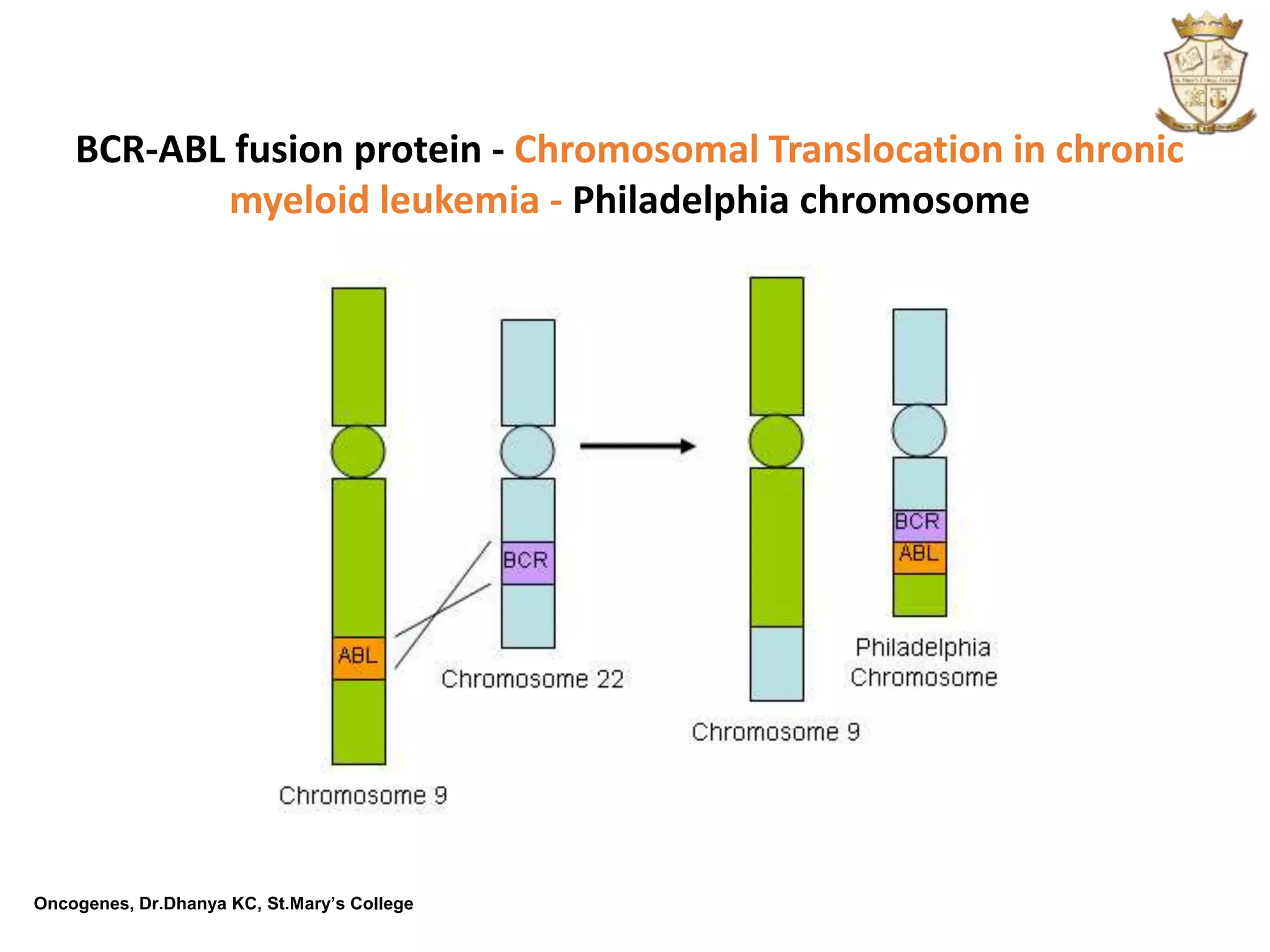 Oncogenes | PPTX