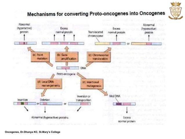 Oncogenes | PPTX
