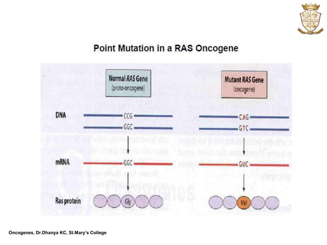 Oncogenes | PPTX