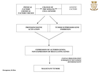 Oncogenes | PPTX