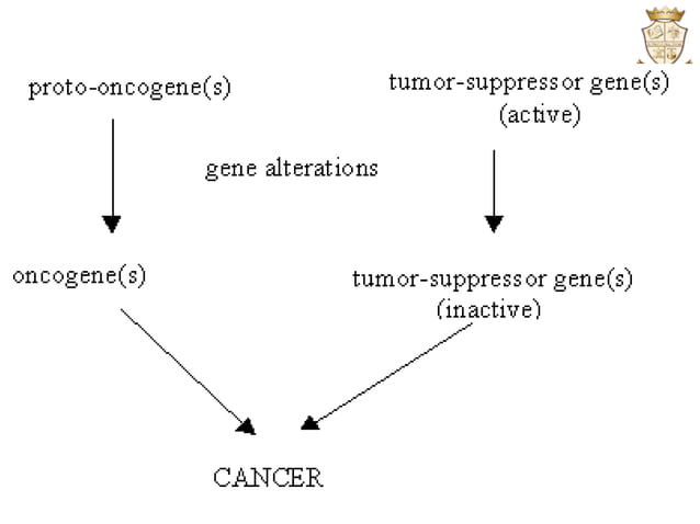 Oncogenes | PPTX