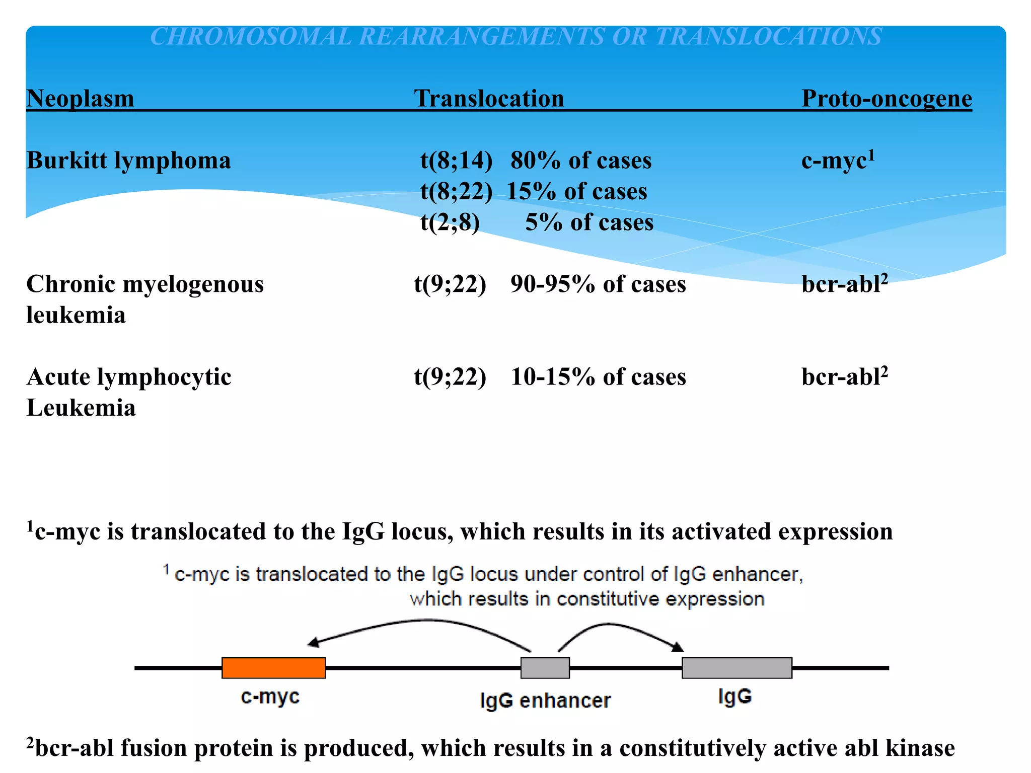 Oncogenes | PPTX