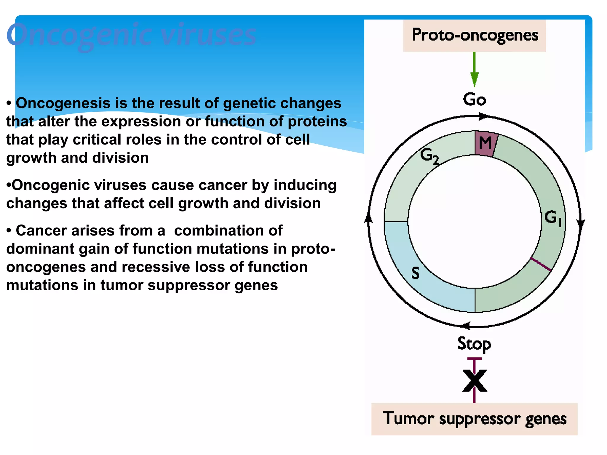 Oncogenes | PPTX