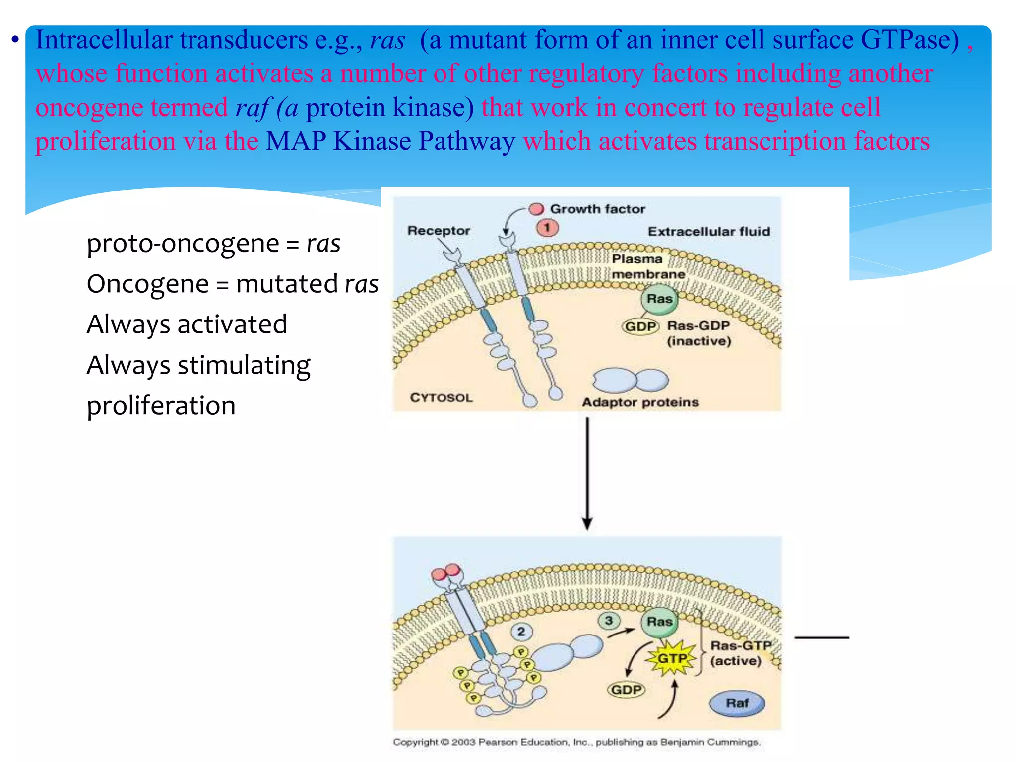 Oncogenes | PPTX