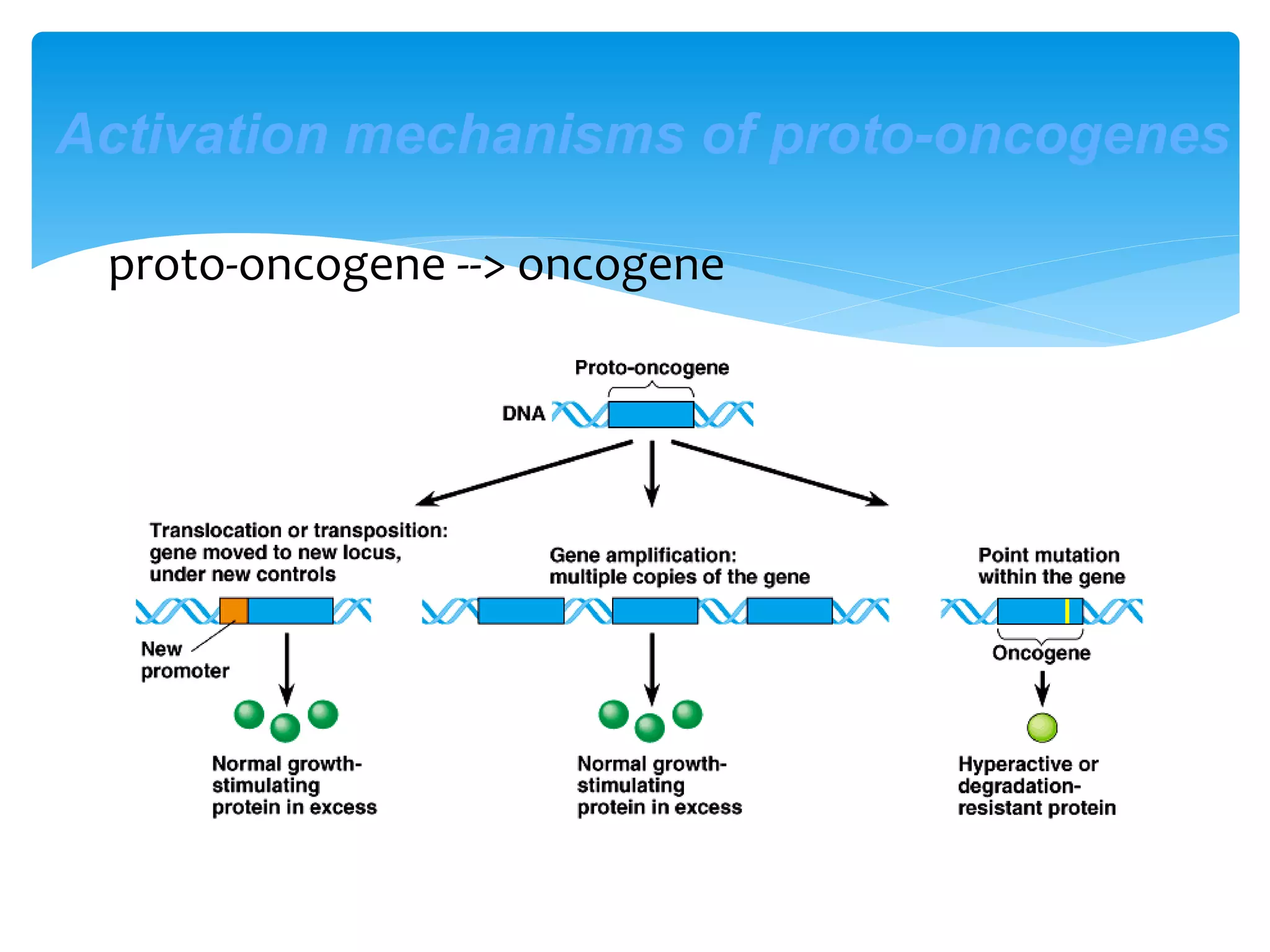 Oncogenes | PPTX