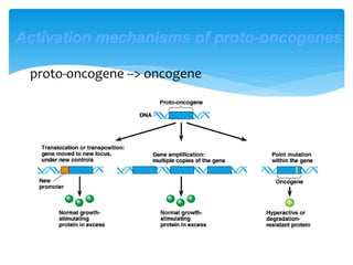 Oncogenes | PPTX