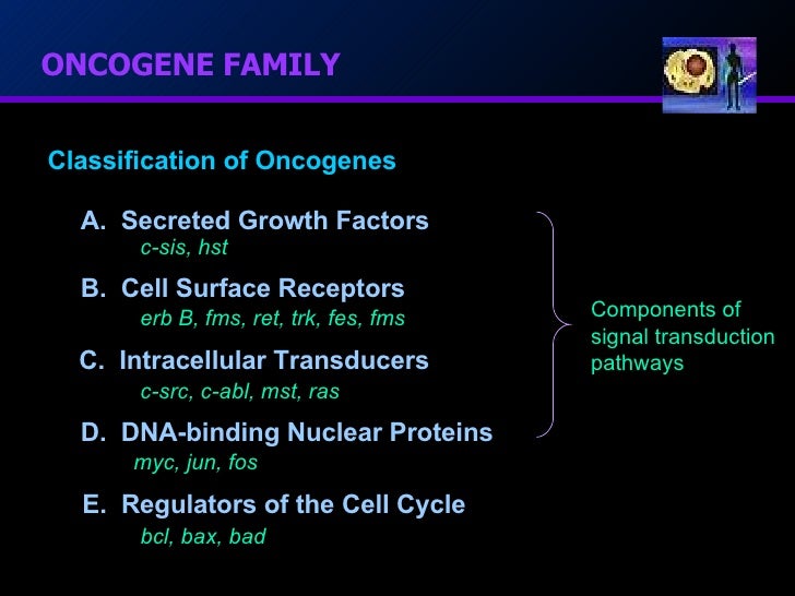 Oncogenesis