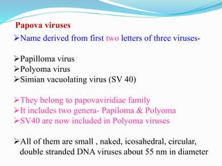 Oncogenesis / Carcinogenesis | PPT