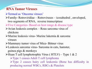 Oncogenesis / Carcinogenesis | PPT