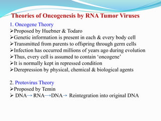Oncogenesis / Carcinogenesis | PPT