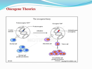 Oncogenesis / Carcinogenesis | PPT