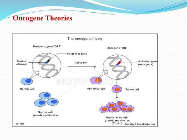 Oncogenesis / Carcinogenesis | PPT