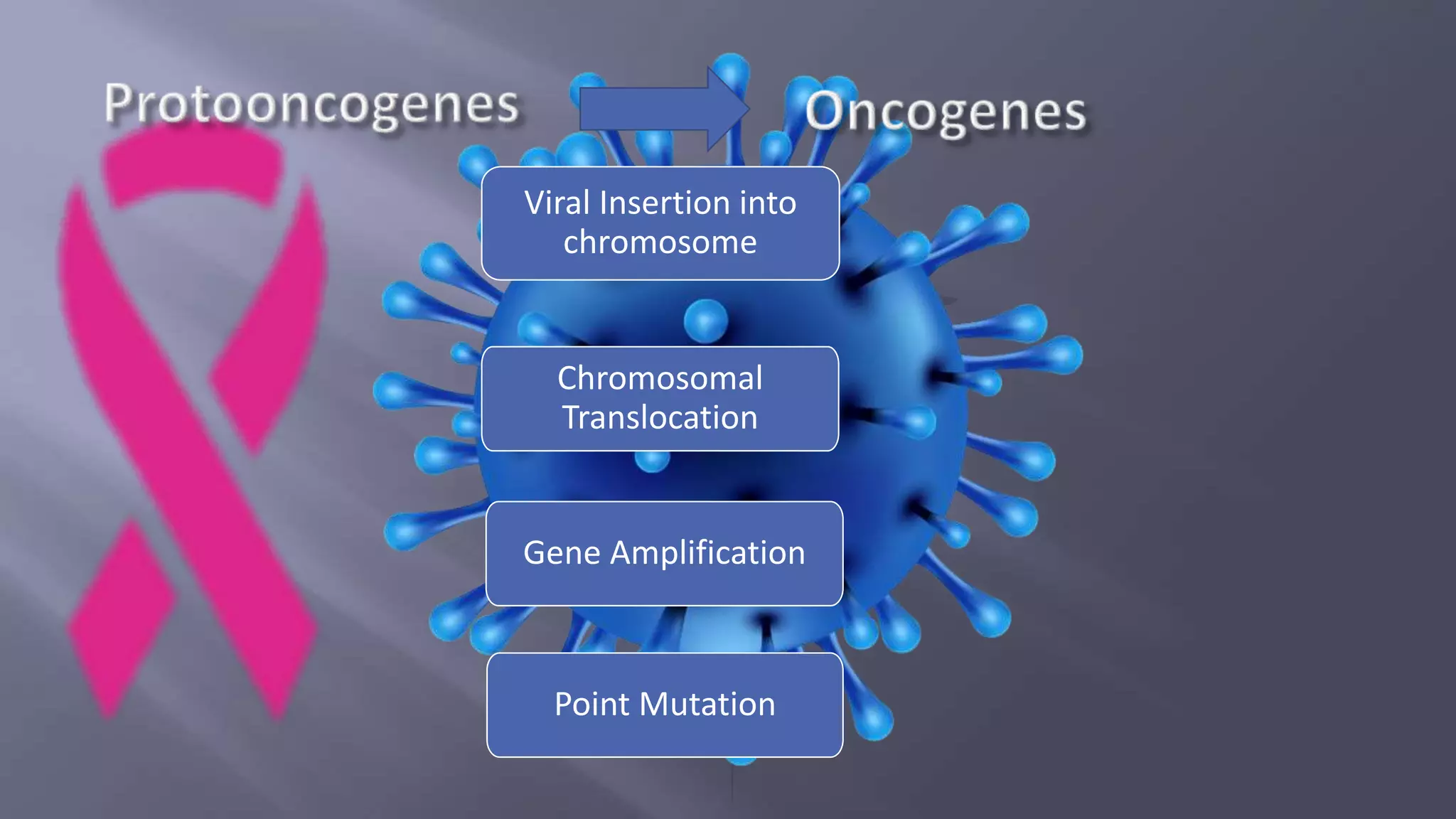 Oncogenesis (Biochemistry) by Kumail.pptx