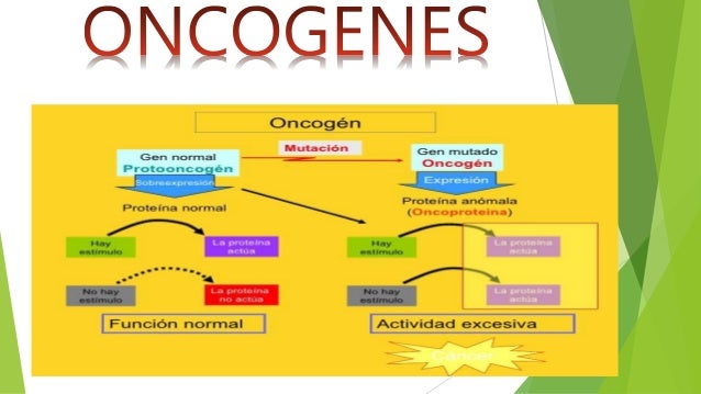 Oncogenes y genes