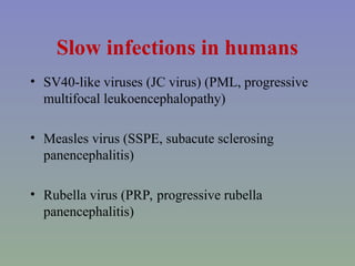 ONCOGENIC & SLOW VIRUSES CLASS NOTES FOR MBBS STUDENTS.ppt