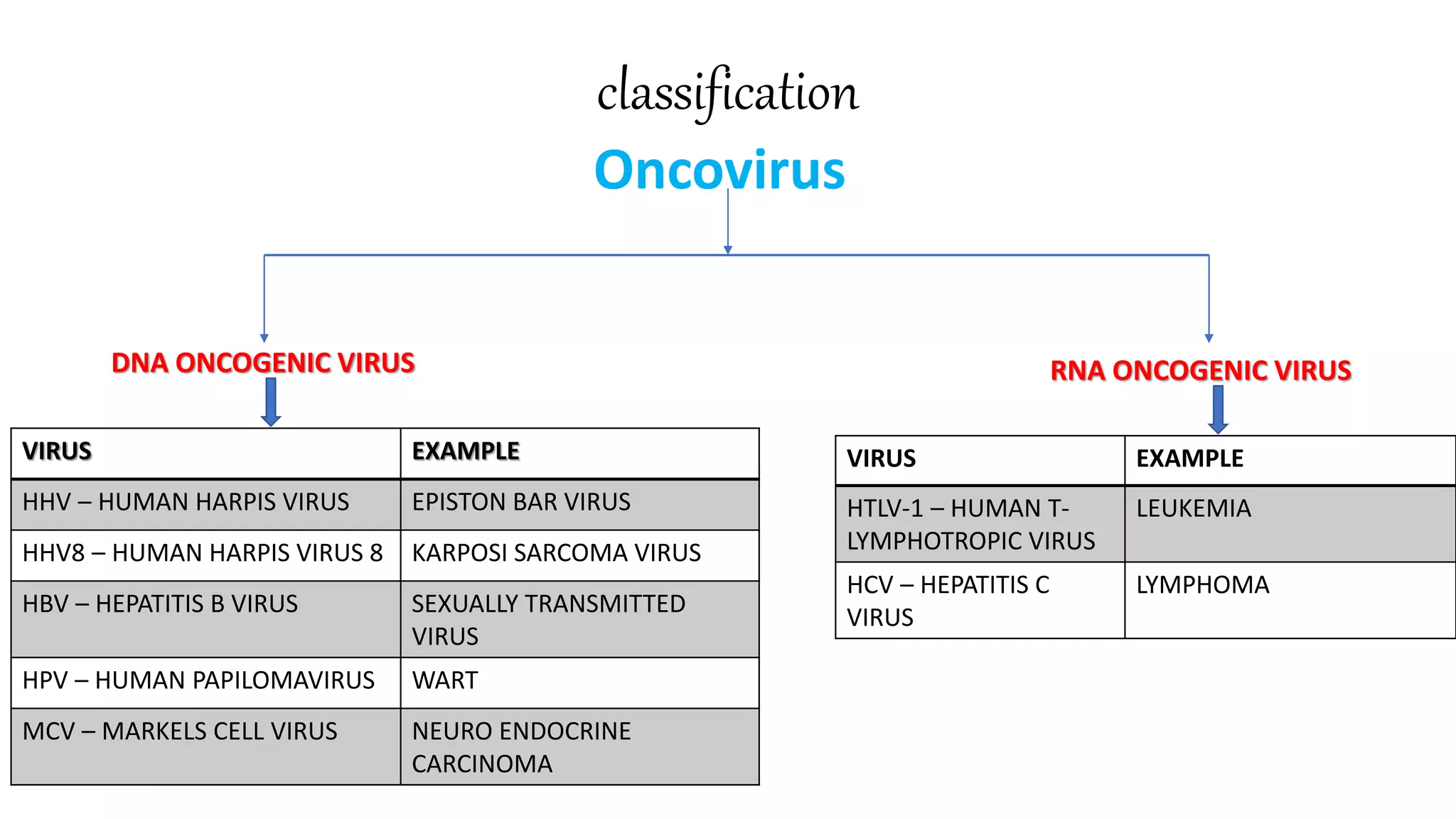 Oncogenic virus | PPTX