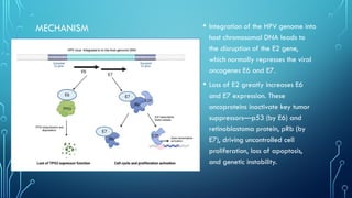 VIRAL ONCOGENESIS- MECHANISM AND TYPES . | PPTX