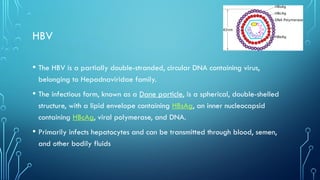 VIRAL ONCOGENESIS- MECHANISM AND TYPES . | PPTX