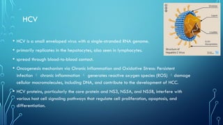 VIRAL ONCOGENESIS- MECHANISM AND TYPES . | PPTX