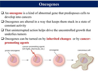 Oncogenic virus-host cell interaction | PDF