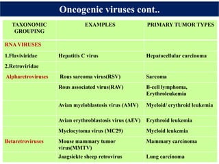 Oncogenic virus-host cell interaction | PDF