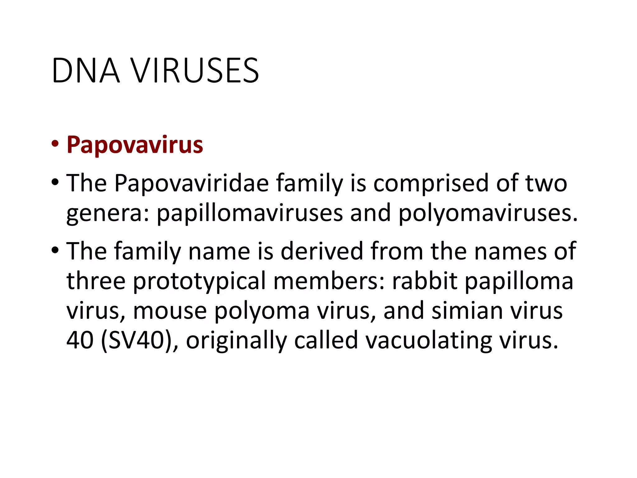 Oncogenic viruses | PPTX