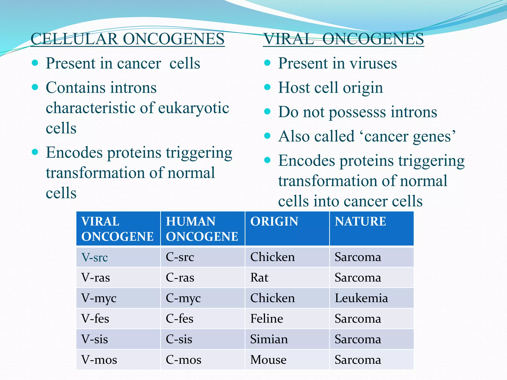 Oncogenic viruses | PPTX