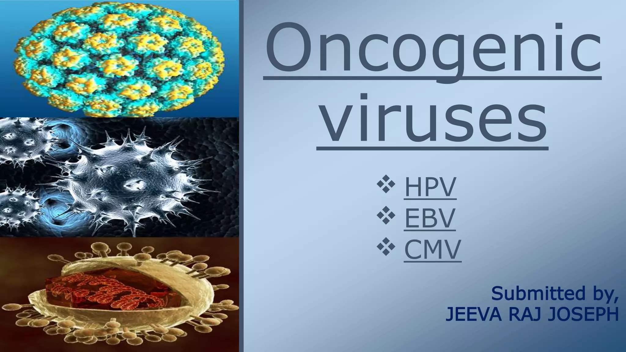 Oncogenic viruses | PPTX