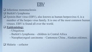 Oncogenic viruses | PPTX | Cancer | Diseases and Conditions