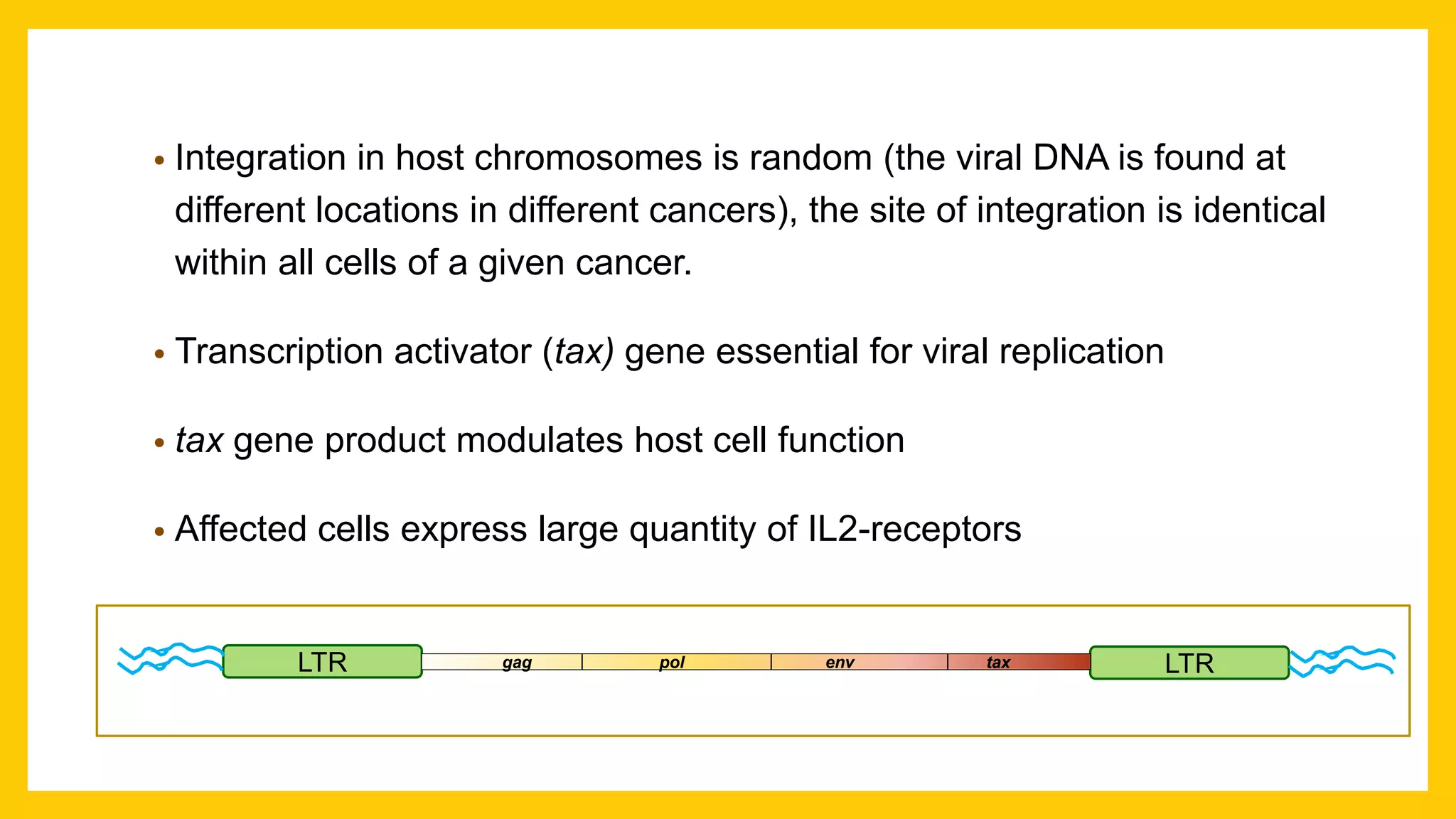Oncogenic viruses | PPTX