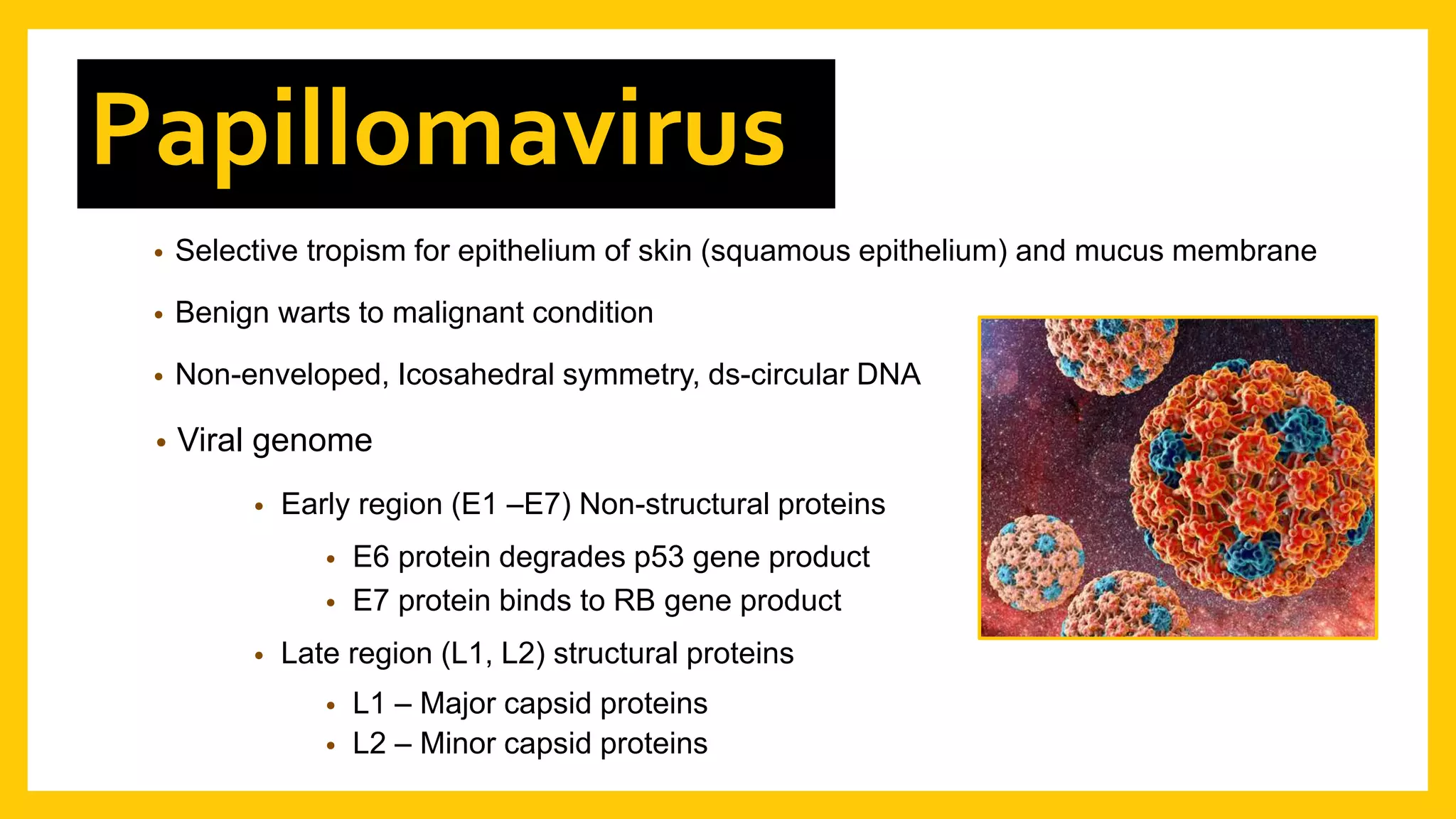 Oncogenic viruses | PPTX
